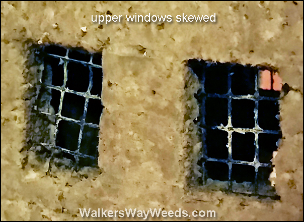 skewed-windows – Walkers Way Weeds