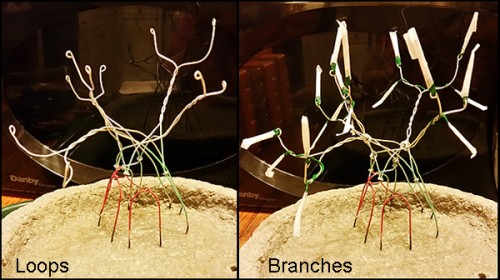 tree-loops-branches-500×280 – Walkers Way Weeds